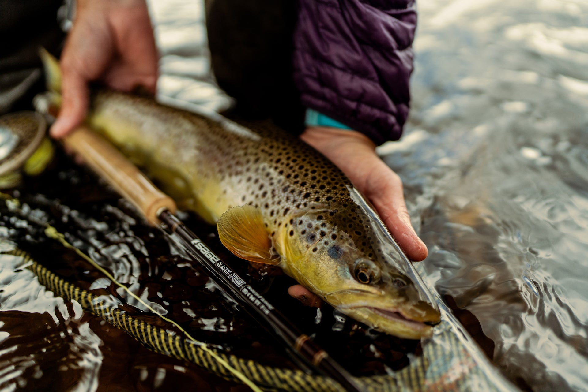 Sage Fly Rods – Tailwaters Fly Fishing