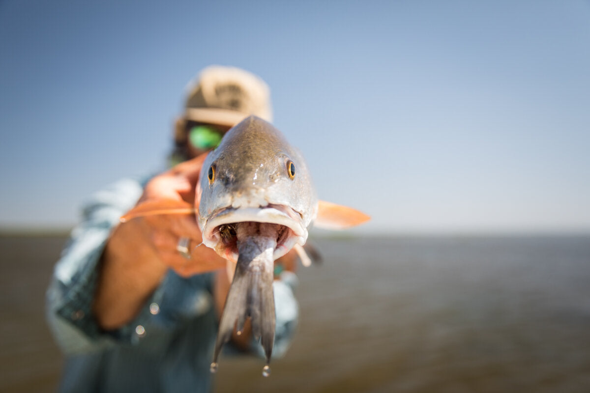 Fly Fishing for Redfish in Louisiana [The Ultimate Guide] - Tailwaters ...